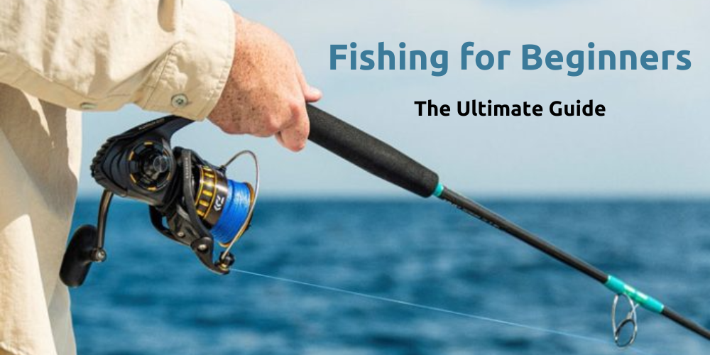 Fishing for Beginners | Fishing Activity | Rank My Article